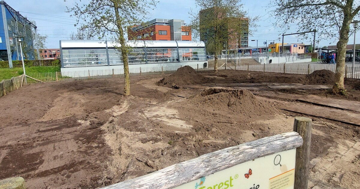 Scholieren vragen gemeente Apeldoorn om mini-bosje te sparen, dan slaat ...