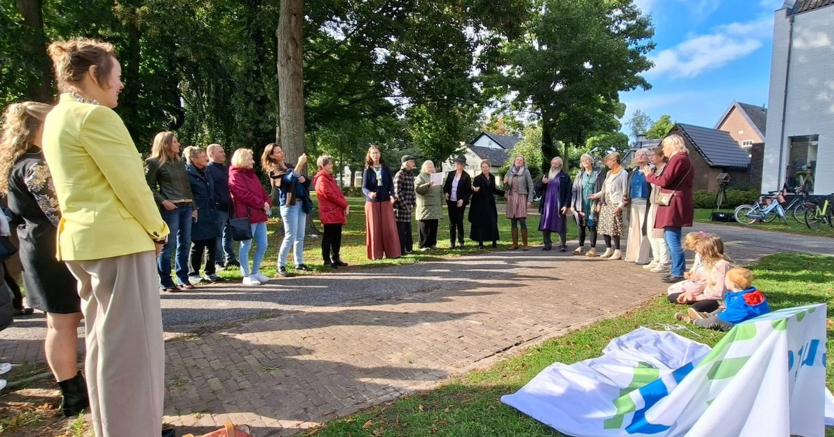 Onthulling plaquette voor algemeen kiesrecht in Olst | Olst-Wijhe | De ...