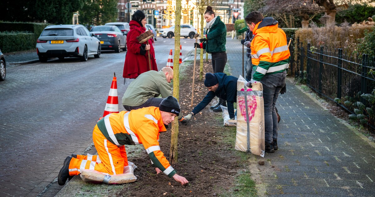 Is de kwestie van dit ‘beschermde’ perkje vol onkruid en drollen in ...